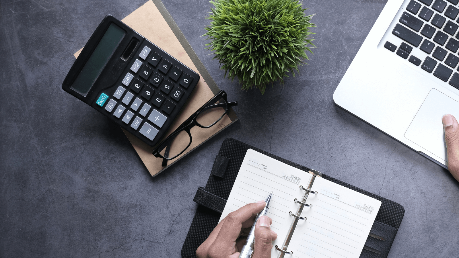 Navigating Your Business Through the Renewal Phase of the Business ...